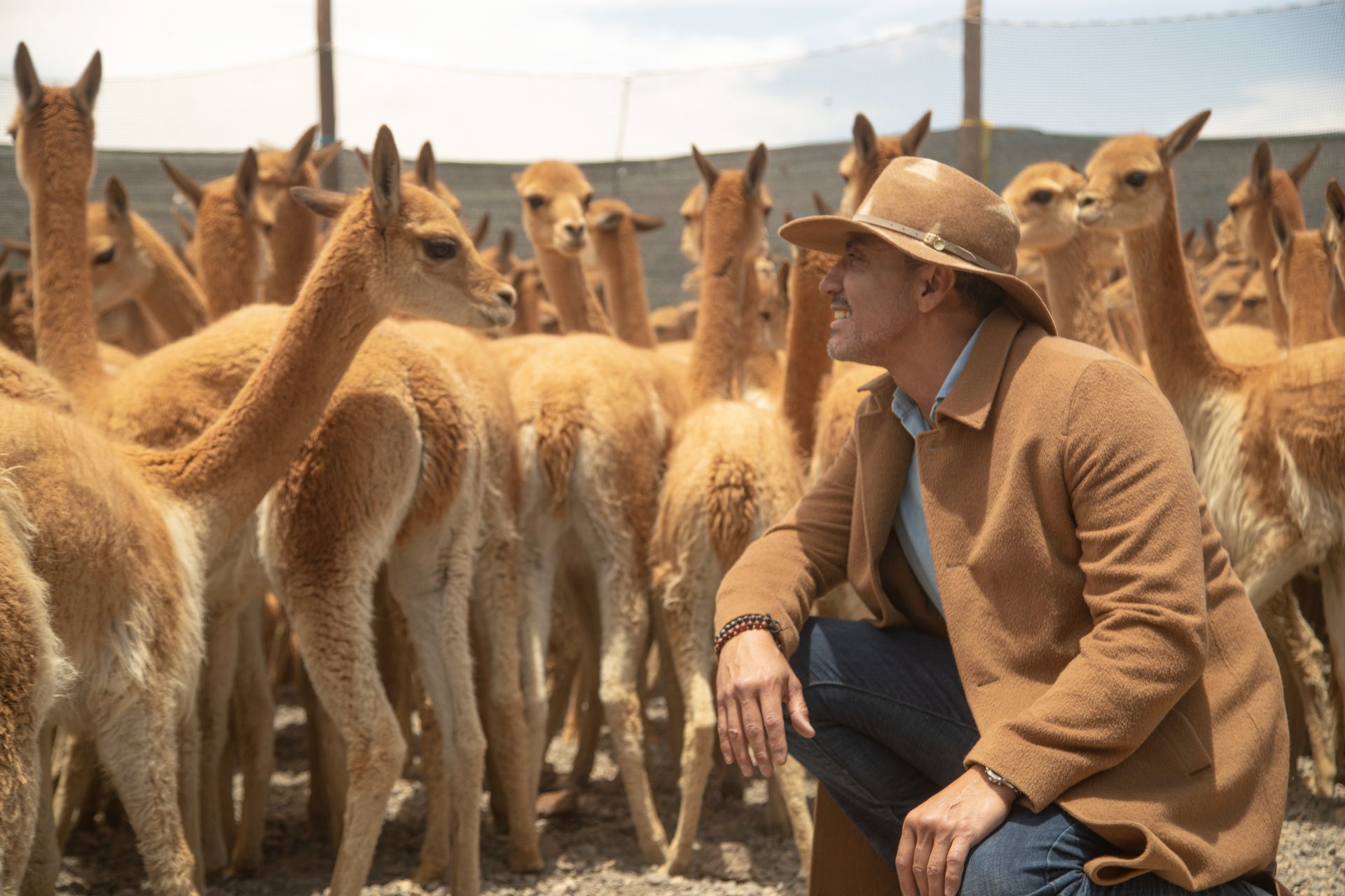 Alpaka-Kollektionen: Kleidung aus peruanischem Alpaka und Vikunja – Alpaca Collections